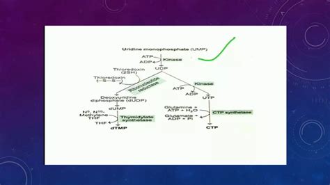 Disorders Of Purine And Pyrimidine Metabolism Pptx