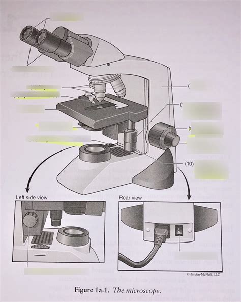 Bio 1406 Lab Practical 1 Parts Of A Microscope 2 Of 2 Diagram Quizlet
