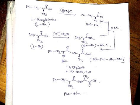 Solved Show All Steps Involved In The Synthesis Of Dipeptide Phe Ala