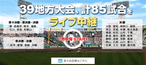 ネットライブ中継で高校野球地方大会の決勝などが観れる！ 野球情報をピックアップ