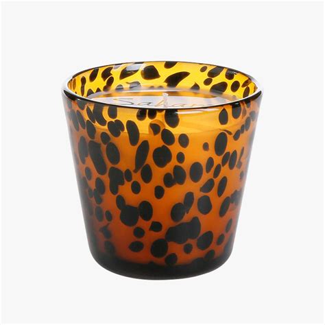 Sahara Tortoise Candle Coconut Mango Scented Candles Dear Keaton
