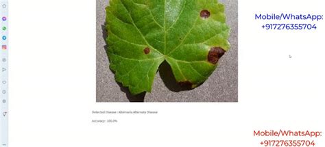 Plant Disease Detection Using Image Processing Python Project With Source Code Final Year