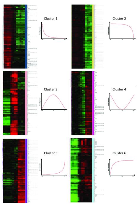 Hierarchical Clustering Of Probes And Schematic Gene Expression Profile Download Scientific