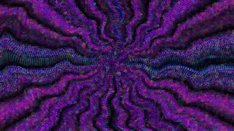 Dmt Entity R Replications