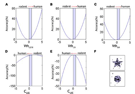 Figure 5 From Comparison Between Human And Rodent Neurons For Persistent Activity Performance A