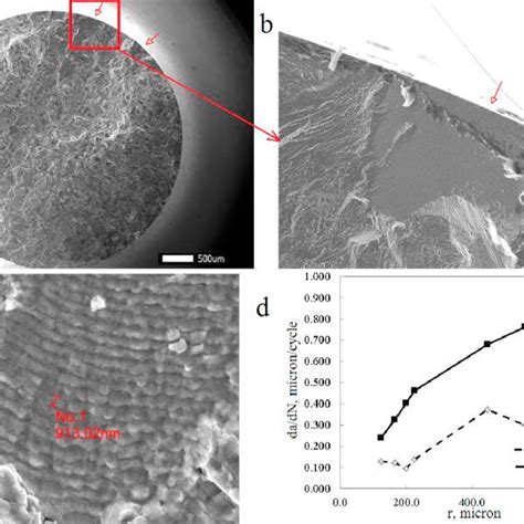 Microstructure Of The Fracture Surface During The Tests At 550 O C A Download Scientific