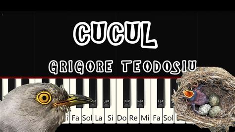 CUCUL Grigore Teodosiu Tutorial Pian YouTube