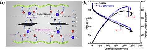 E Self Crosslinked Sulfonated Polyether Ether Ketone Membrane Doped