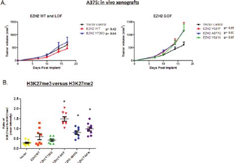 A375 Cells Expressing EZH2 GOF Mutants But Not WT Or LOF Mutant