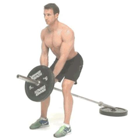 Bent Over T Bar Rows Exercise How To Workout Trainer By Skimble