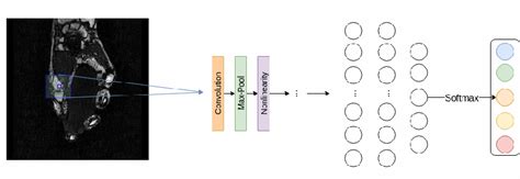 Figure 1 From Cnn Based Segmentation Of Medical Imaging Data Semantic