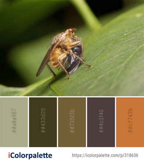 540 Pest Color Palette Ideas In 2024 Icolorpalette
