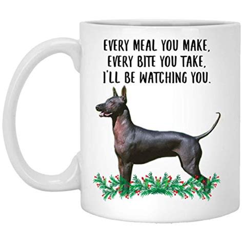 Top 10 Must Have Black Xoloitzcuintli Products Your Ultimate Buying Guide Furry Folly