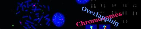 overlapping chromosomes kaggle