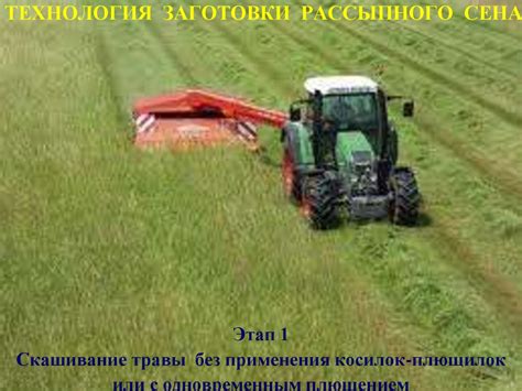 Грубые и концентрированные корма - презентация онлайн