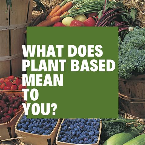 What Does A Plant Based Diet Mean To You Bodyfuelspn