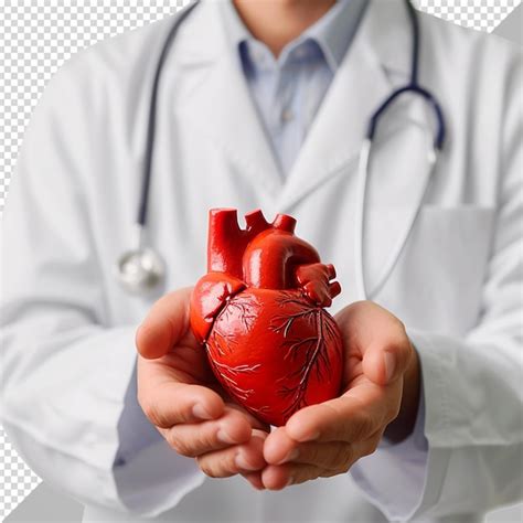 Premium Psd A Human Heart Isolated On White Background