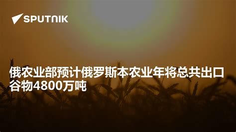 俄农业部预计俄罗斯本农业年将总共出口谷物4800万吨 2021年5月21日 俄罗斯卫星通讯社