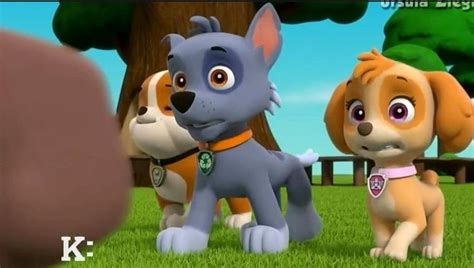 Pin By Thomas Ash On Skye Rocky Zuma And Rubble Skye Paw Patrol Skye