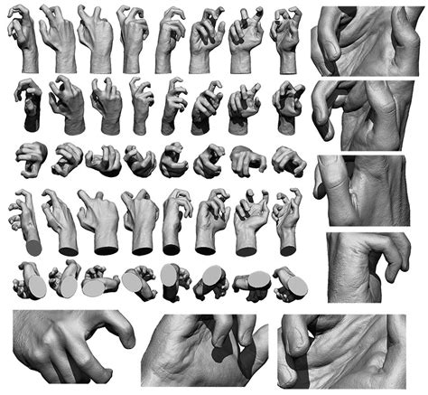 Hand Reference For 3d Modeling