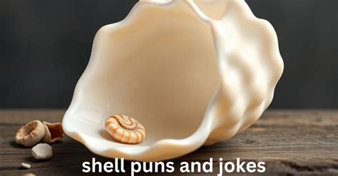 130 Shell Puns And Jokes For A Shell Of A Time Cloziv