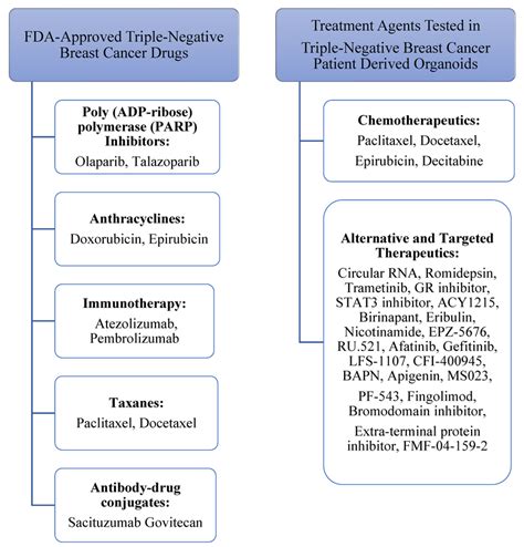 Current Fda Approved Treatment Agents For Tnbc Versus The Drugs Tested