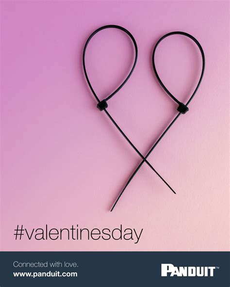 Panduit Emea On Linkedin Connectedwithlove Panduit Emea On Linkedin Connectedwithlove