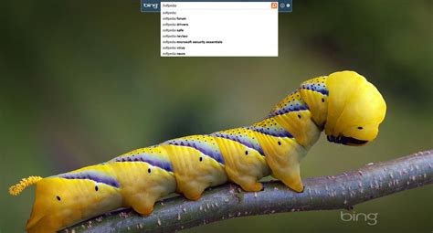 Microsoft Releases Bing Desktop In Beta