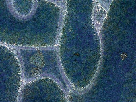 Correlative Microscopy In Materials Science Wiley Science And