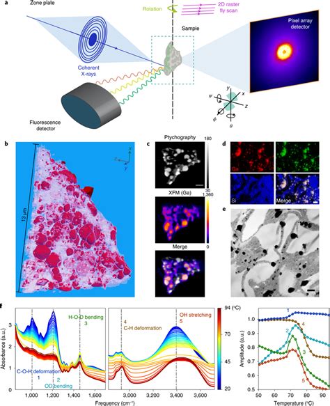 X Ray Ptychographic Fluorescence Tomography And In Situ Ir Spectra Download Scientific Diagram