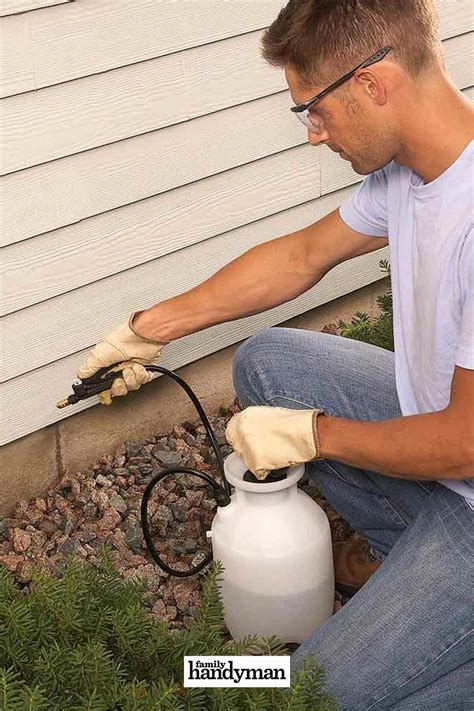 How To Get Rid Of Ants In Your House And Yard Rid Of Ants Get Rid Of Ants Ant Prevention