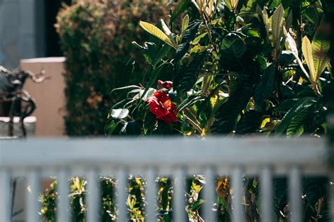 Untitled Seisuke Yoshida Flickr