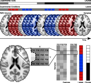 Pymvpa A Python Toolbox For Multivariate Pattern Analysis Of Fmri Data