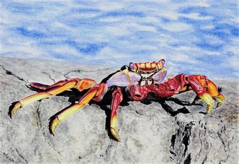 Vigilance Watercolor Art Southern Africa