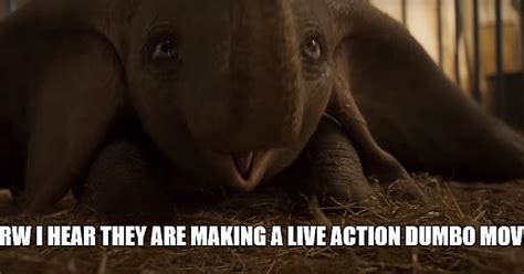 Live Action Dumbo Tim Burton Album On Imgur