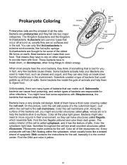 Exploring Prokaryotic Cell Structures And Functions Course Hero
