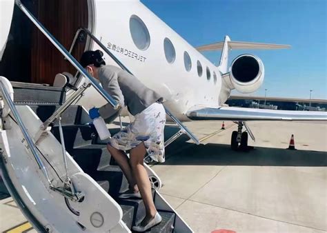 “春风盛世回元气，金虎跳跃贺新春”，海航航空旗下金鹿公务带您体验万米高空的浓浓年味最新消息关于金鹿金鹿公务航空有限公司