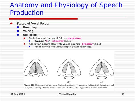 Ppt Speech Processing Powerpoint Presentation Free Download Id 2745961