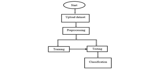 Identification Of Plant Nutrient Deficiencies Using Convolutional Neural Networks
