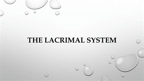 Solution The Lacrimal System Studypool