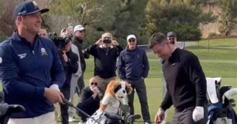 Bryson Dechambeau Brutally Mocks Rory Mcilroy Ahead Of Liv Golf Vs Pga