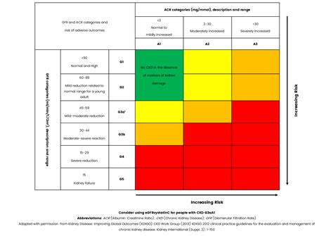 Cystatin C A Biomarker Of Renal Dysfunction Biorex Diagnostics Primary Diagnostics Innovation