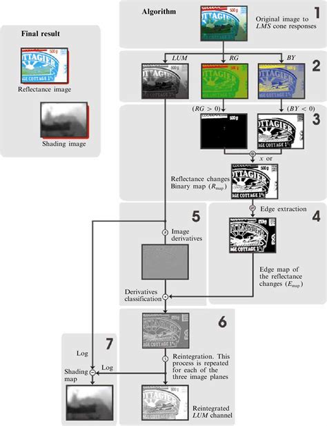 Figure 2 From A Biologically Inspired Algorithm For The Recovery Of Shading And Reflectance