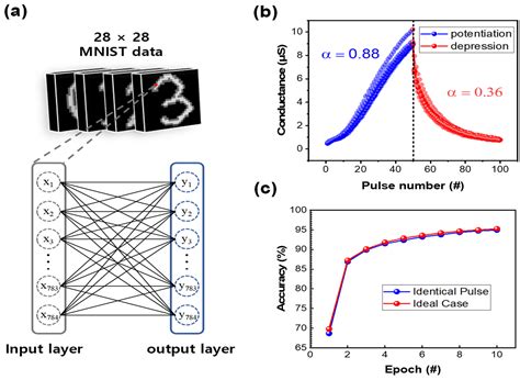 Amorphous Bn Based Synaptic Device With High Performance In Neuromorphic Computing