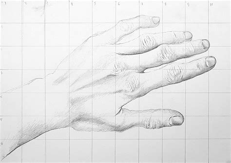 Drawing With A Grid How To Use A Grid For Drawing Various Things 2023