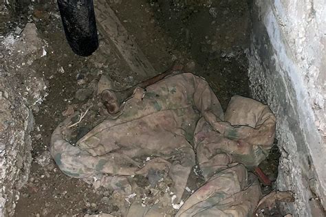 New Details Man Found Uc Berkeley Skeleton In 2021 And Reported It — But Campus Official Never