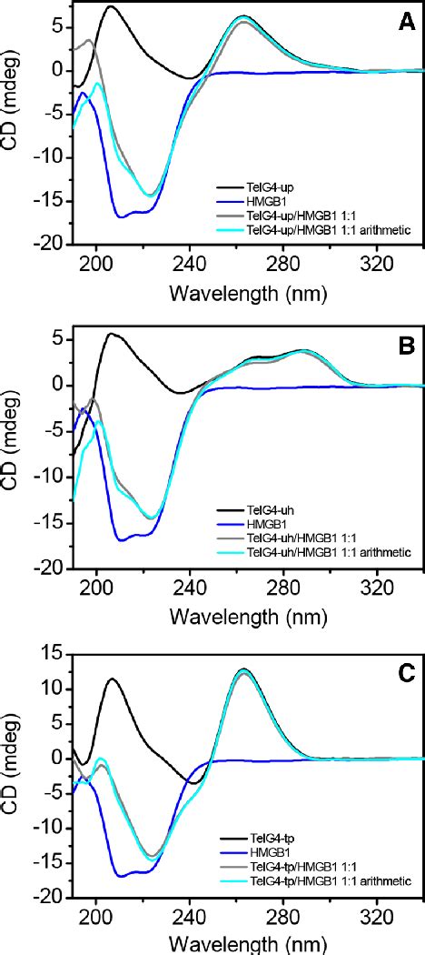 Figure 2 From Insights Into Telomeric G Quadruplex DNA Recognition By