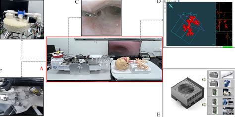 Robotic Bronchoscopy System A Robot And Bronchus Phantom B Biopsy