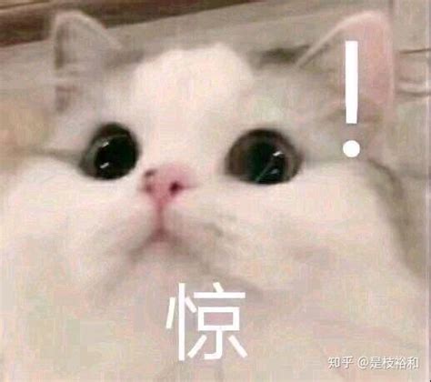 Python语法：多线程同时处理大量文件 知乎
