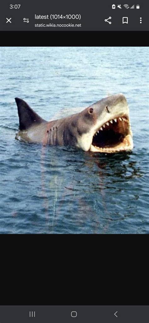 Bruce Jaws By Rogo115904092 On Deviantart